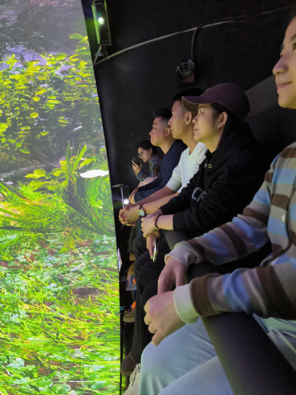 Dome Theater System | 360° Full-Dome Immersive Projection | Viewstec
